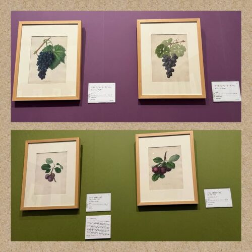 ゴッホの「ひまわり」が有名なSOMPO美術館に行ってみた！ | DisabilityLog