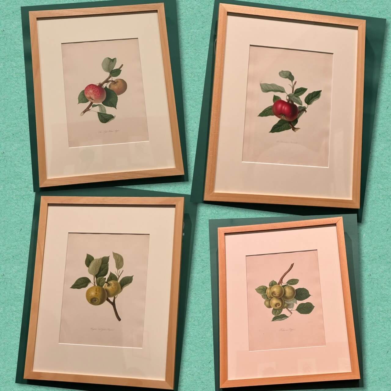 ゴッホの「ひまわり」が有名なSOMPO美術館に行ってみた！ | DisabilityLog