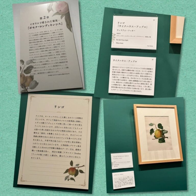 ゴッホの「ひまわり」が有名なSOMPO美術館に行ってみた！ | DisabilityLog